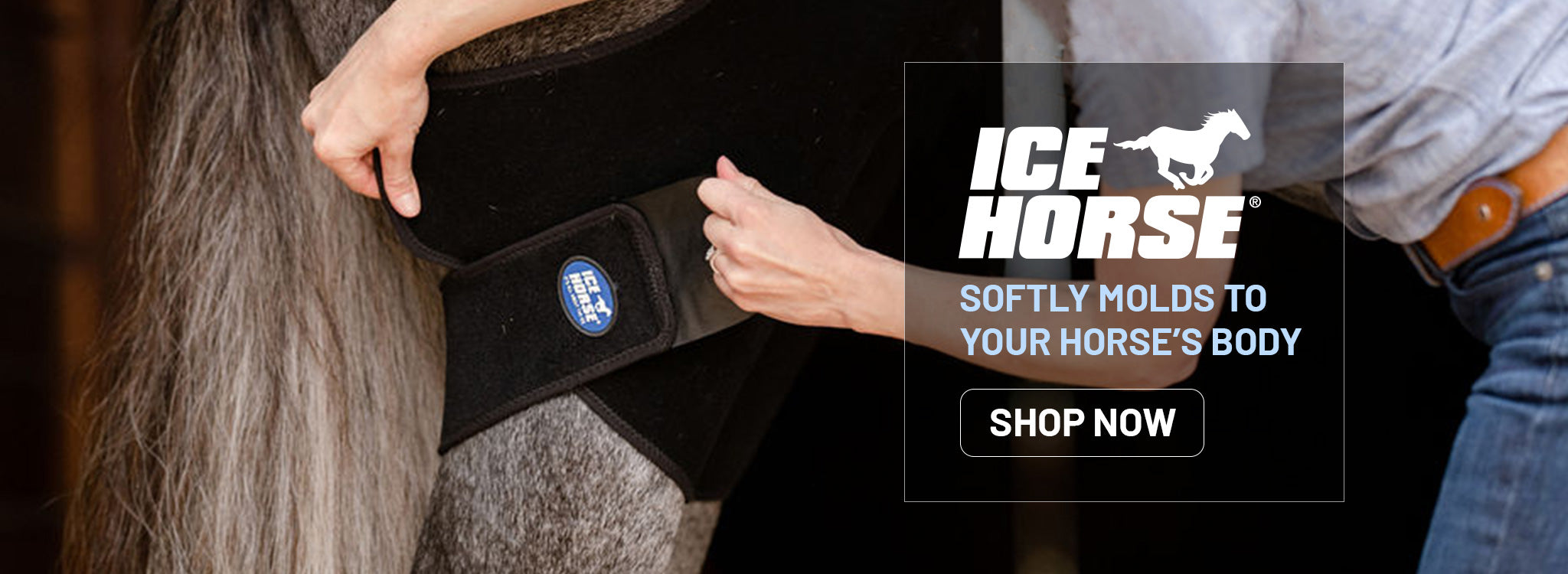 Cold Therapy for Horses and Riders | Equipment and Tack for Injuries